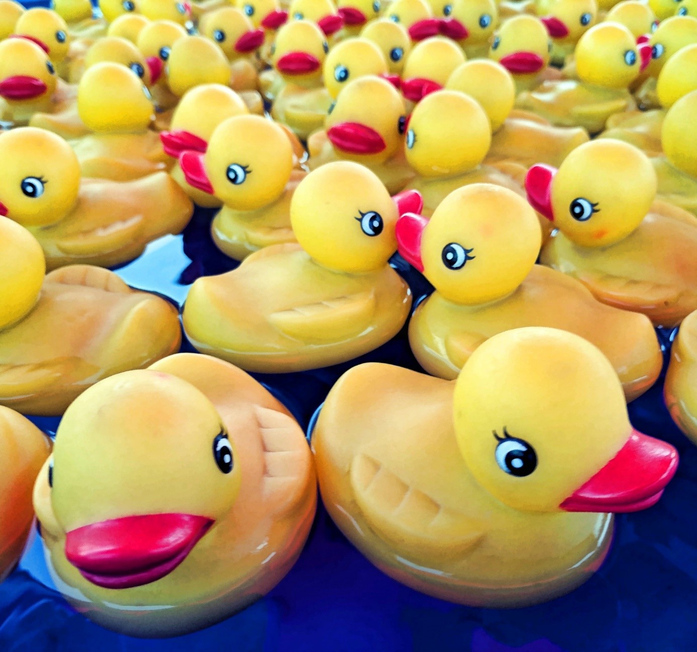 The Air Water Interface and Sample Preparation for CryoEM - Nanoscience ...